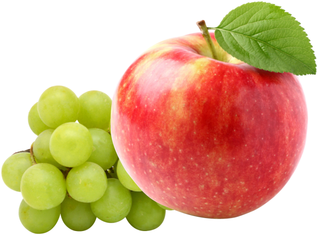 Cancer Survival - American Institute for Cancer Research