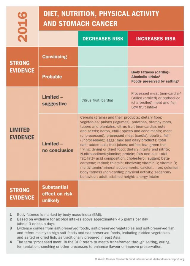 Project On The Stomach