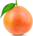 Cancer Health Check - American Institute for Cancer Research