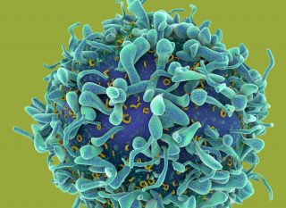 Broccoli, Cruciferous Vegetables and Cancer - AICR