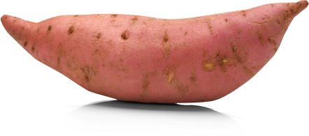 Cancer Health Check - American Institute for Cancer Research