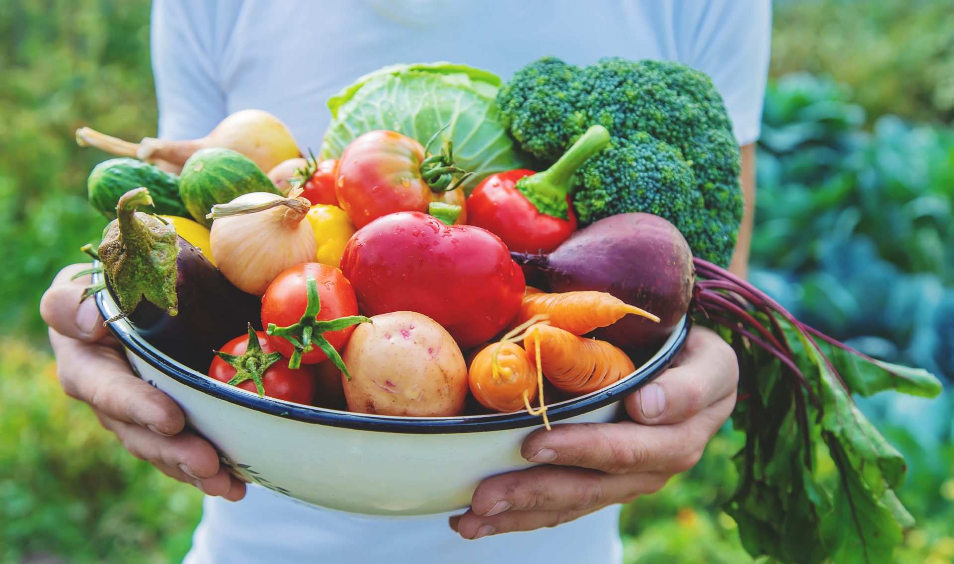 New Dietary Guidelines Committee Report Aligns with AICR ...