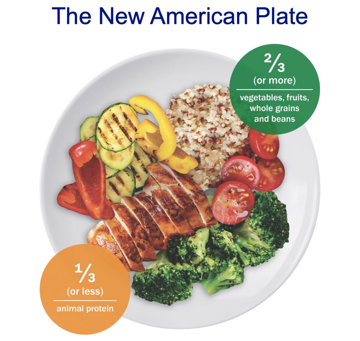 The New American Plate vs. MyPlate: What’s the Difference? - AICR