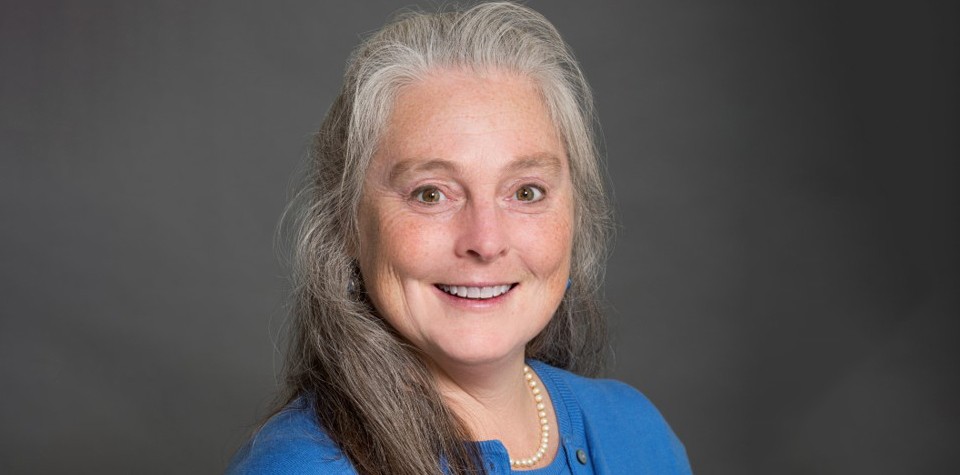 Diet and physical activity in the etiology of non-Hodgkin lymphoma (NHL ...